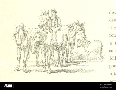 The Scenery Of The Dee With Pen And Pencil Illustrated By A Gibb