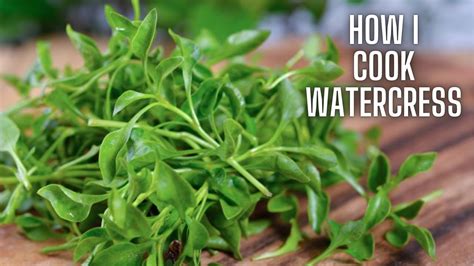 How To Make Watercress Suswa Saag Recipe Watercress Simraya