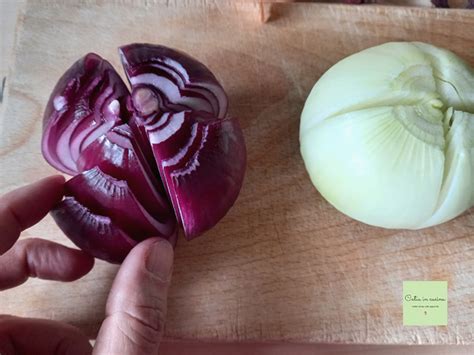 Blooming Onion Fiori Di Cipolla In Friggitrice Ad Aria Catia In Cucina