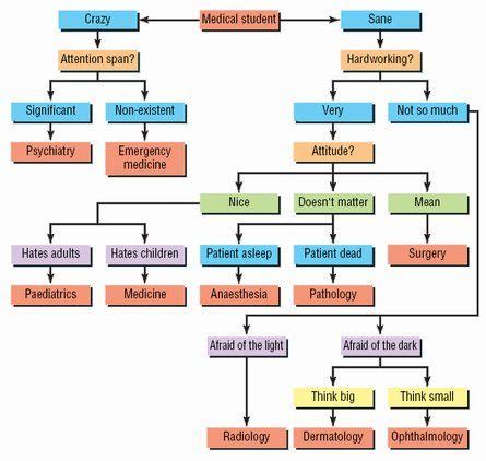 Medical Specialty Selection Flow Chart Emergency Room Workflow Chart