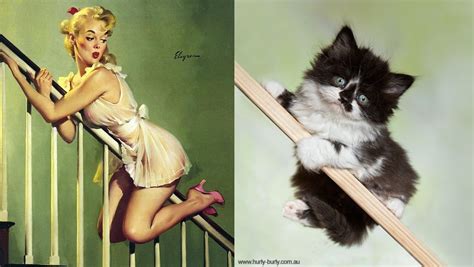 Divertidos Gatos Posando Como Toda Un Chica Pin Up