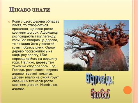 Пагін і його будова презентация онлайн