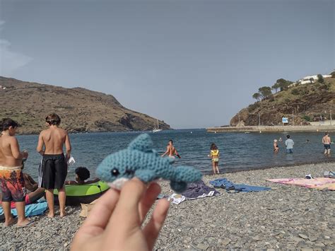 Mini Blahaj Is Traveling Too R Blahaj