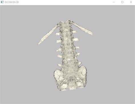 Github Jcm01dicompython Extracting Metadata From Dicom Files And Converting Them Into 2d And