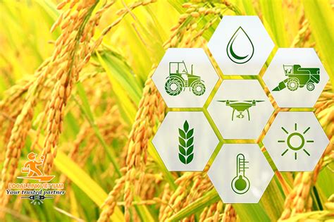 Nông Nghiệp Thông Minh áp Dụng Kỹ Thuật điện Tử