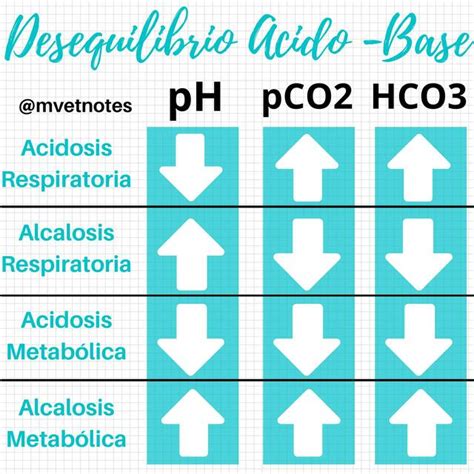 Acido Base Mvetnotes Udocz