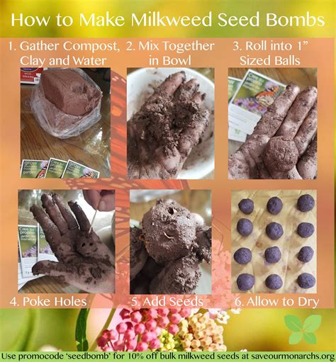 How To Make Milkweed Seed Save Our Monarchs Foundation