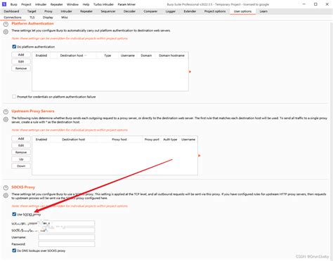解决 Burpsuite Error Proxy Failed to connect to burpsuite failed