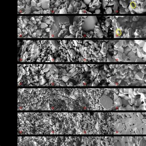 Sem Of Different Particle Sizes At Different Sintering Temperature