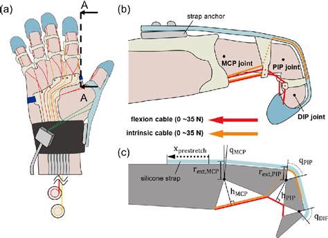 Figure 2 From Design Optimization Of A Soft Robotic Rehabilitation