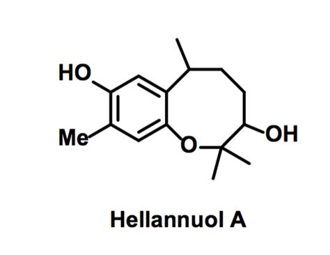 Complex Retrosynthesis R Organicchemistry