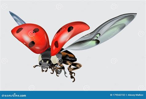 Ladybug Set Isolated On White Background Ladybird Collection Icon