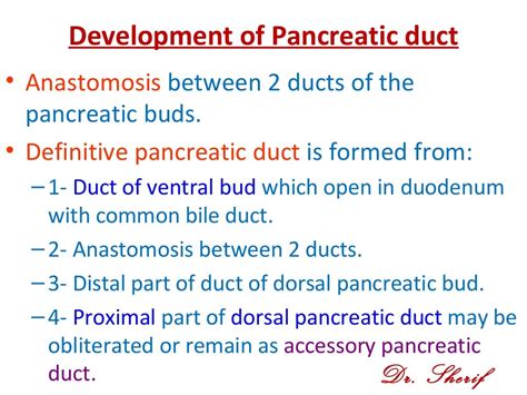 Development Of Duodenum Special Embryology