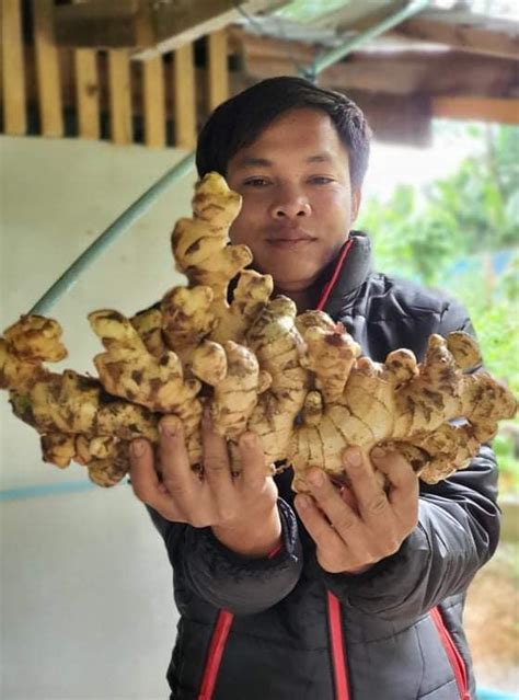 โปรต้อนรับเดือนกุมภา โกเต็ง ข้าวมันไก่ไหหลำ น้ำจิ้มรสเด็ด