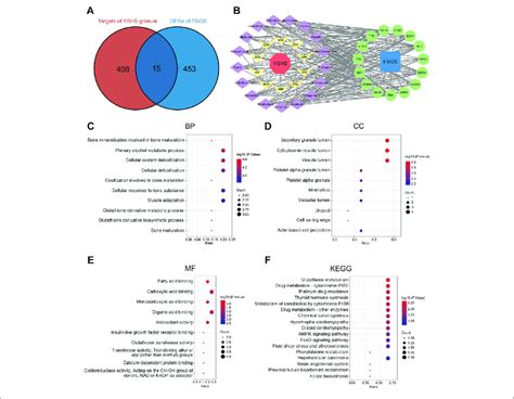 Identification And Analysis Of The Targets Of The Yshs Granule