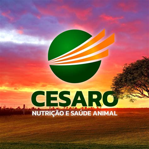 Cesaro Comércio Indústria E Representações Ltda Uberlândia Mg