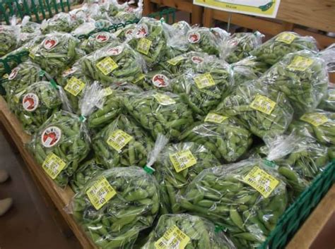 「枝豆」入荷しました！ あぐれっしゅ日高中央 Jaいるま野
