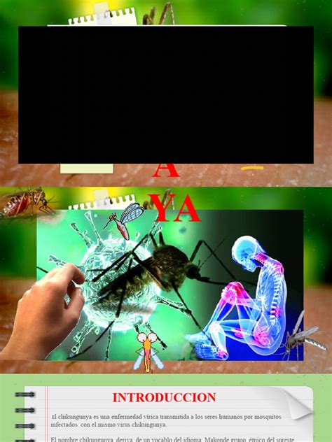 Chikungunya Pdf Medicina Salud Pública