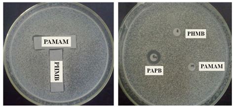 The Design Of Hyperbranched Polymer Biguanide Molecules With A Four Arm Branched Core Structure