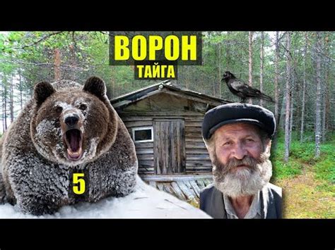 МЕДВЕДЬ ДЕД ЗНАЕТ КАК ЗАВАЛИТЬ МЕДВЕДЯ ОТШЕЛЬНИКИ ТАЕЖНЫЕ БАЙКИ ДОМ в ...