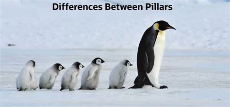 Quest Oracle Community On Linkedin Peoplesoftpillars Hr Finance Campussolutions Techtalk