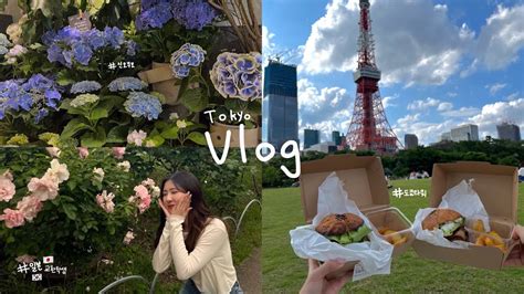 일본 교환학생 일상 Vlog🗼 도쿄타워가 보이는 공원에서 피크닉 일본 대학 서클동아리 들어가기 신오쿠보 밥먹듯이 가기 음주 브이로그 🫠 학교 도서관에서