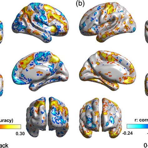 Overlap Between Activation As And Association Strength Ass Maps