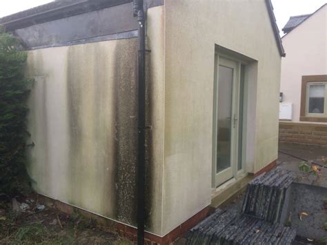 Number Tip On How To Remove Algae From External Walls