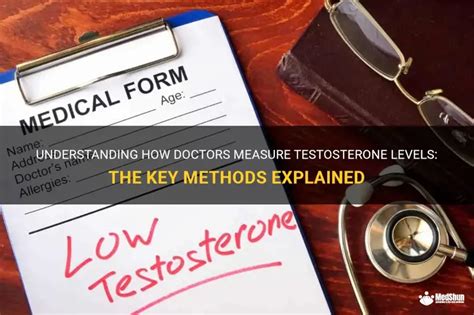 Understanding How Doctors Measure Testosterone Levels The Key Methods Explained MedShun