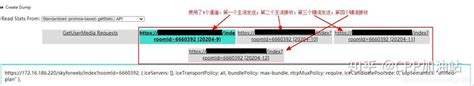 Chrome调试工具webrtc Internals 知乎