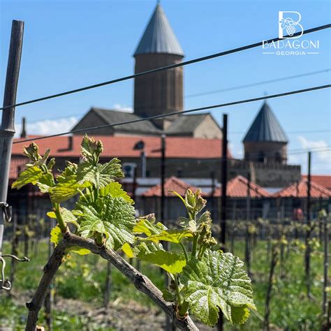 ბადაგონი • Badagoni