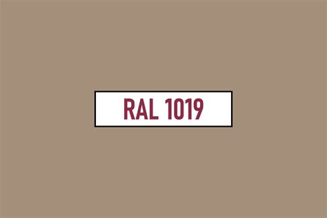Ral 1019 Irchowo Szary Grey Beige
