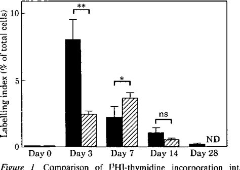 Figure 1 From Endothelium Modulated Proliferation Of Medial Smooth