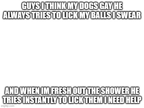 Help Me Imgflip