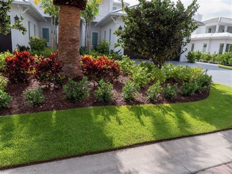 Common Types Of Zoysia Grass Sod University Sod Solutions Zoysia