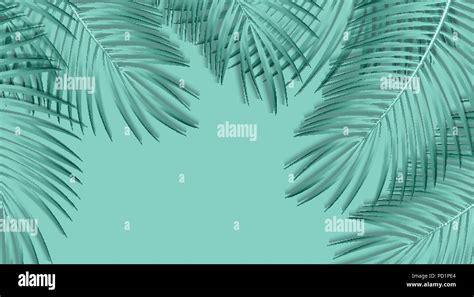 Beautiful Palm Leaf Background Vector Illustration Stock Vector Image