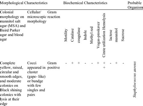 Morphological And Biochemical Characteristics Of Presumptive