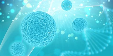 NCERT Th Class CBSE Science Cell Structure And Functions Quiz Class Notes