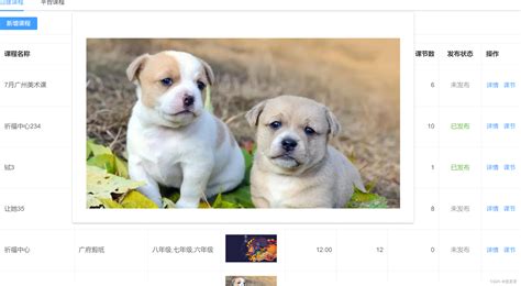 后台管理系统之预览大图后台公告管理素材预览 Csdn博客