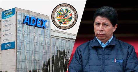 Adex Buscará Reunirse Con Grupo De La Oea Que Visitará El Perú
