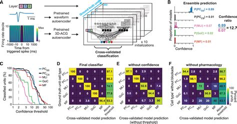 A Deep Learning Strategy To Identify Cell Types Across Species From High Density Extracellular