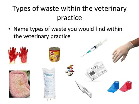Veterinary Waste Disposal Disposal Of Waste Anyone Who
