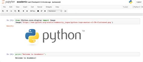 display jupyter notebooks with academic jonas gathen