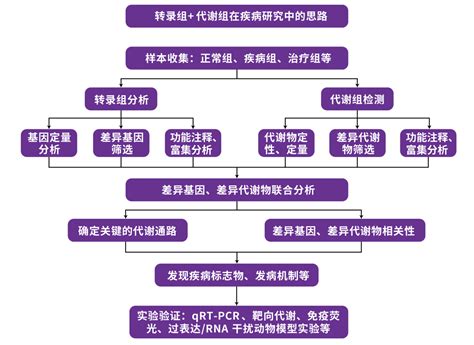 从经典案例看转录组代谢组在疾病研究中的思路 知乎