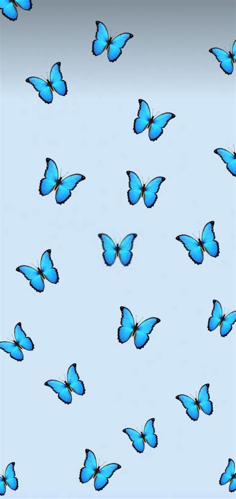 Бабочка | Butterfly wallpaper iphone, Blue butterfly wallpaper ...