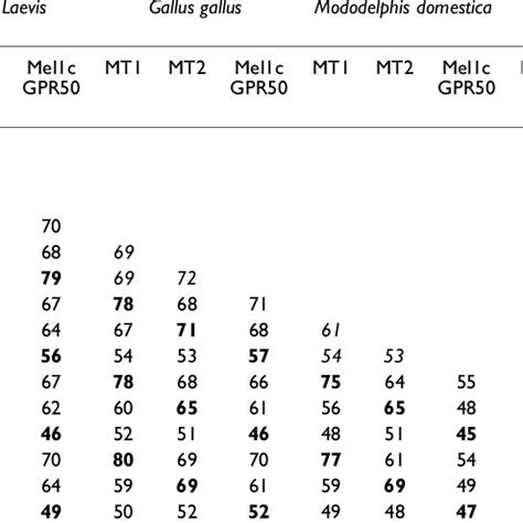 Sequence Identity Analysis Download Table