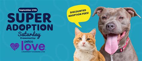 Alive Rescue Alive Rescue Added A New Photo