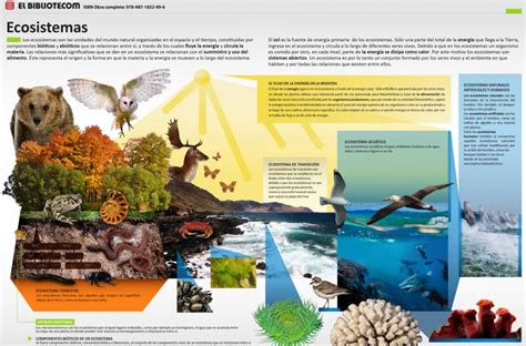 101 Imágenes E Infografías En Ecosistemas Ovacen