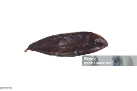 흰색 배경에 고립 Carob 포드 0명에 대한 스톡 사진 및 기타 이미지 0명 갈색 개체 그룹 Istock