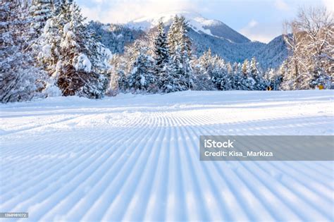 그루밍 스키 달리기와 산 반스코 불가리아 0명에 대한 스톡 사진 및 기타 이미지 0명 가문비나무 겨울 Istock